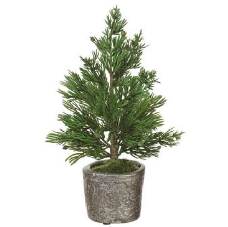 10.5" Potted Juniper Tree – Heavenly Occasions