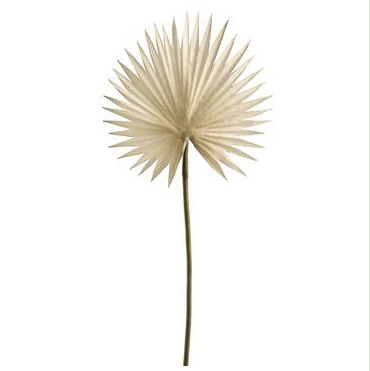 15.5" Fan Palm Spray – Heavenly Occasions